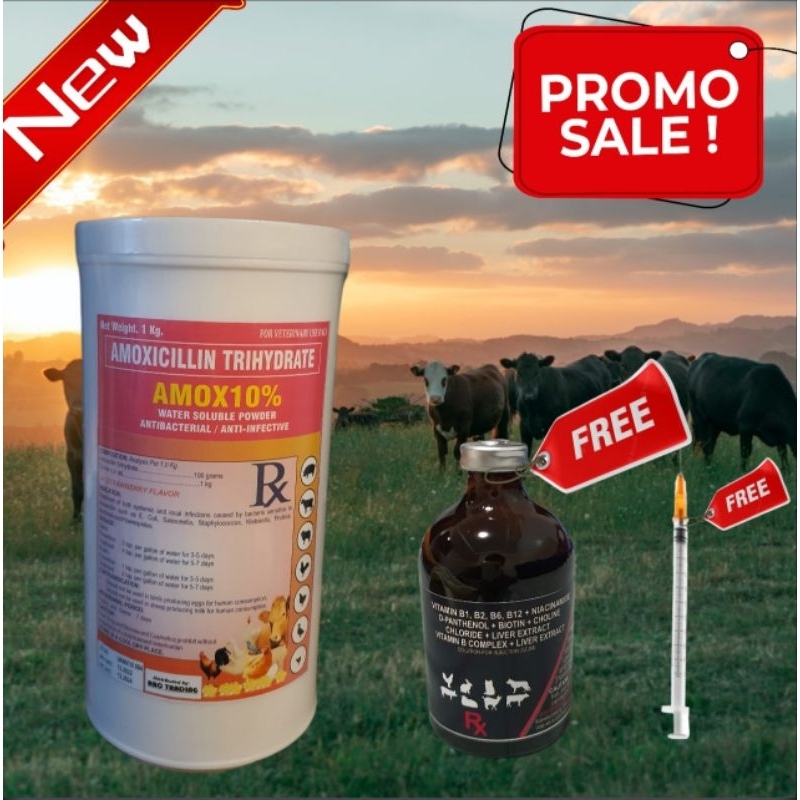 amox 10% powder 1 kilogram + 100ml bcomplex with liver extract + 1ml ...