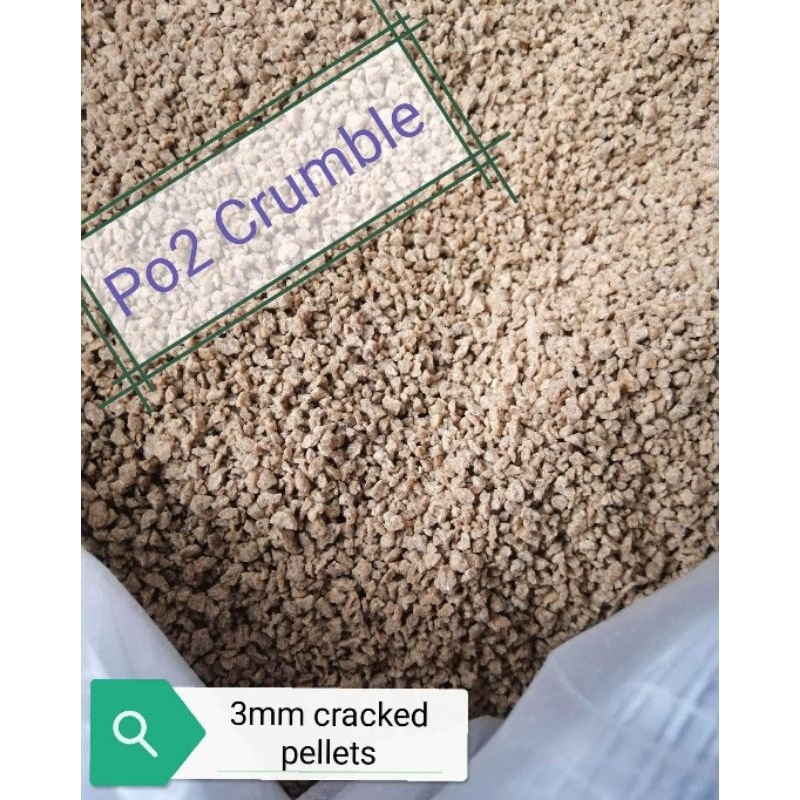 P01 P02 P03 P04 P05 Premium Fish Food 80g to 500g | Shopee Philippines