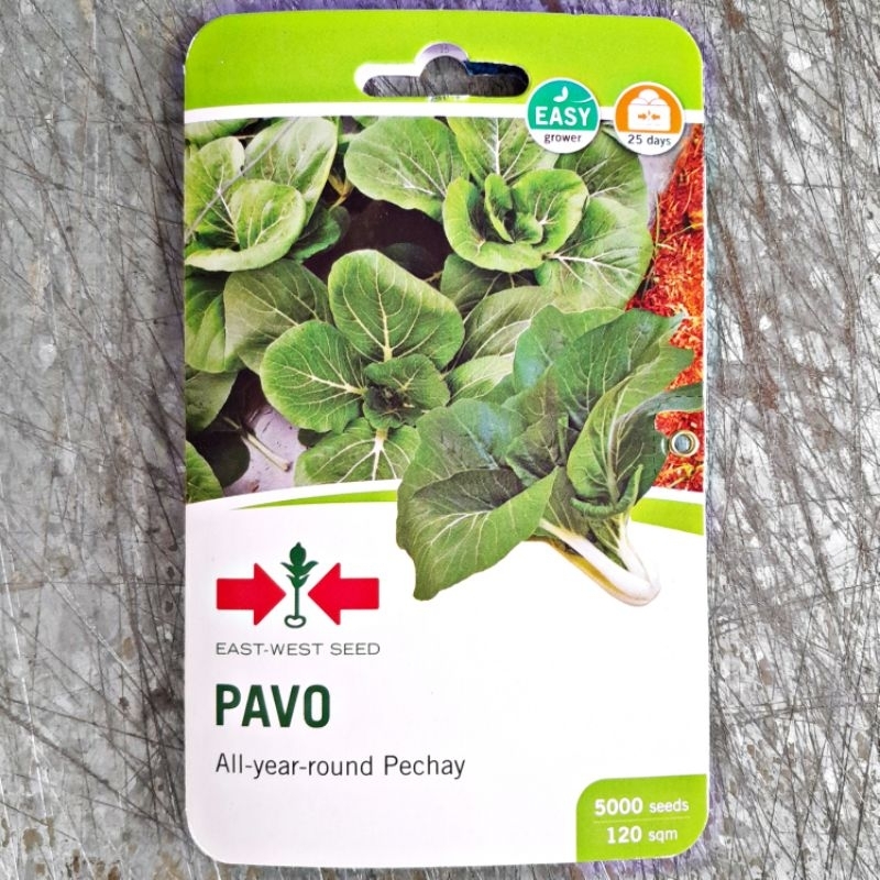 PAVO OPV PECHAY SEEDS (5000 SEEDS) BLACK BEHI TYPE PETCHAY by EAST WEST ...