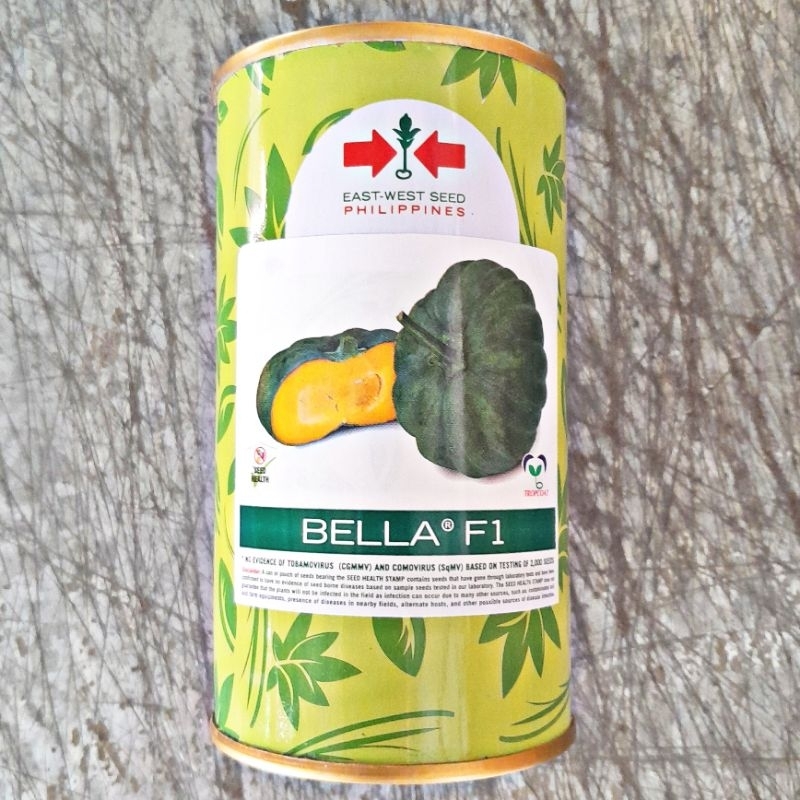 BELLA F1 HYBRID SQUASH (100 GRAMS APPROX. 840 SEEDS) KALABASA by EAST ...