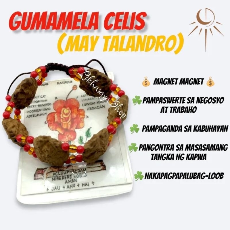 【Lucky Charm】Gumamela Celis Bracelet may kasamang Talandro, Money ...