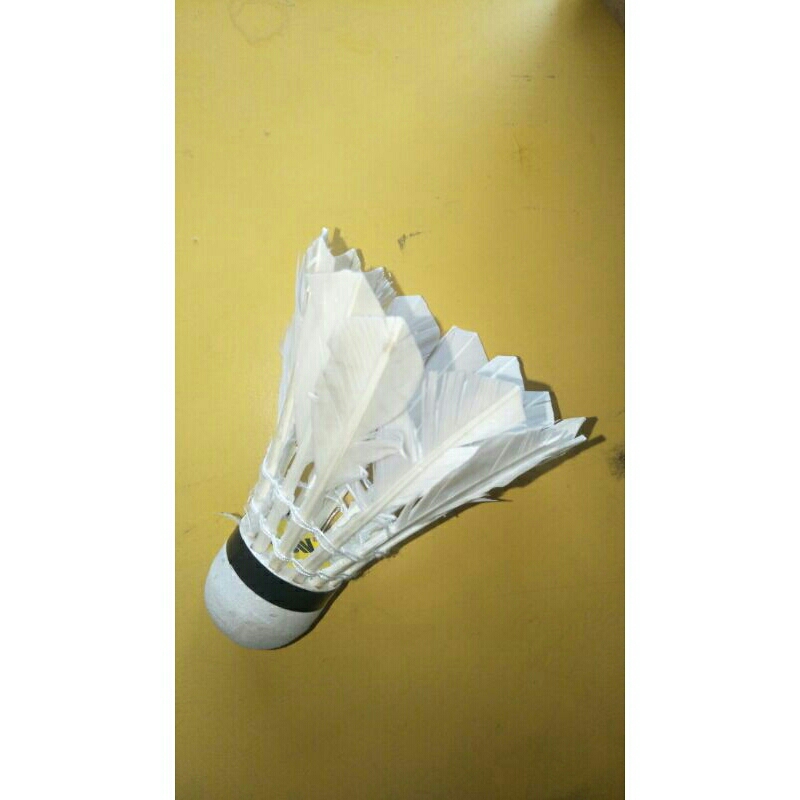 Shuttlecock feather | Shopee Philippines