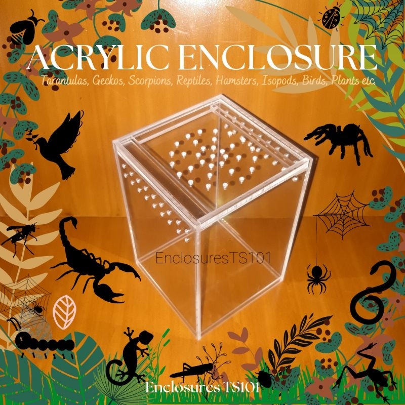 Acrylic Enclosure for Tarantula, Scorpion, Reptiles, Isopod, Small ...