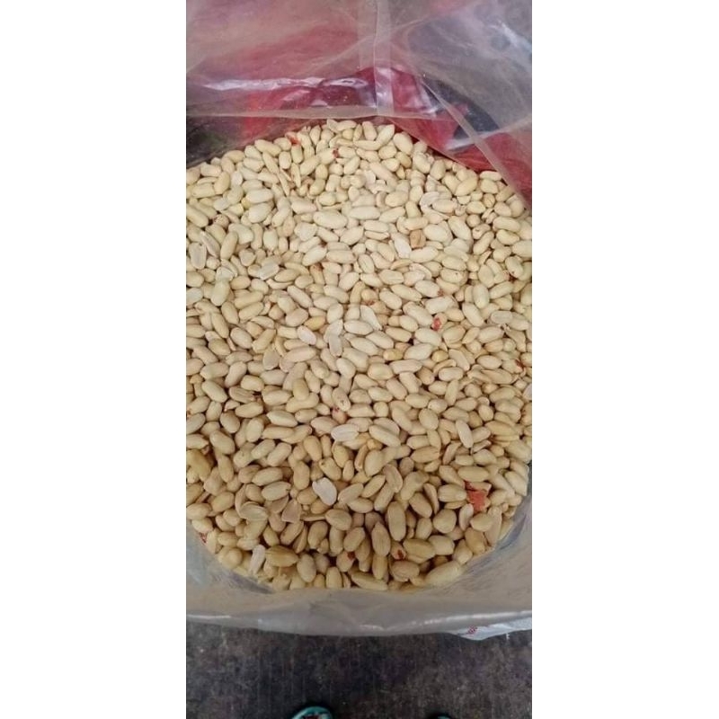 RAW PEANUTS SKINLESS / 100% SKINLESS PEANUTS MALALAKI/ Available 1kilo ...