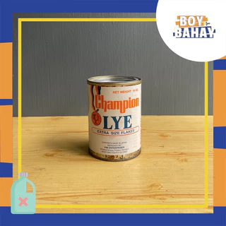 Shop lye for Sale on Shopee Philippines