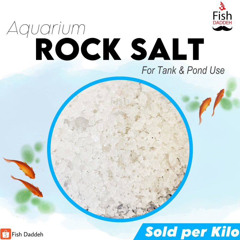 Aquarium Rock Salt for tank & pond 1kg | Shopee Philippines