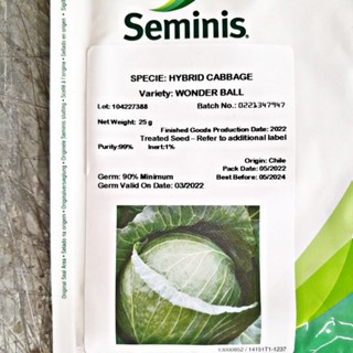 WONDER BALL F1 HYBRID CABBAGE SEEDS (25 GRAMS) WONDERBALL by SEMINIS ...