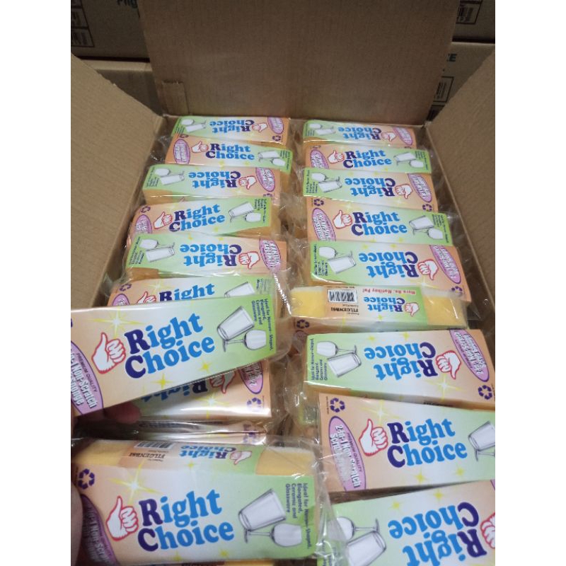 Right Choice 2in1 Slim Pack Non-Scratch Sponge Steel Wool Dishwashing ...