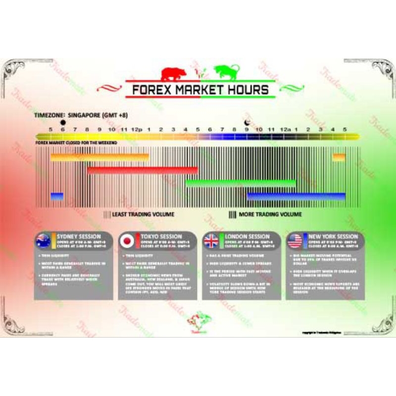 Trademate Frameless Forex Market Hours Guide Sheet (Forex) | Shopee Philippines