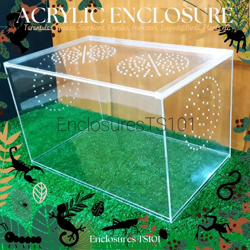 Acrylic Enclosure for Tarantula, Reptiles, Hamsters, Guinea Pig ...