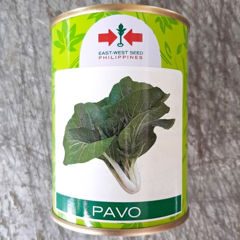 PAVO OPV PECHAY SEEDS (100 GRAMS) BLACK BEHI TYPE PETCHAY by EAST WEST ...