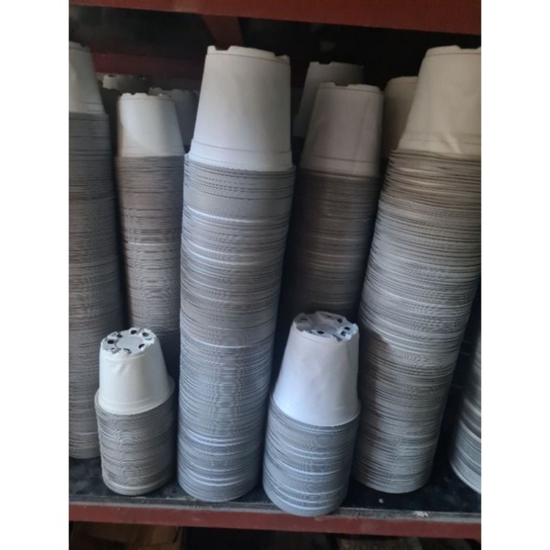 100pcs Pvc soft white thin pot(12cm-17cm) | Shopee Philippines