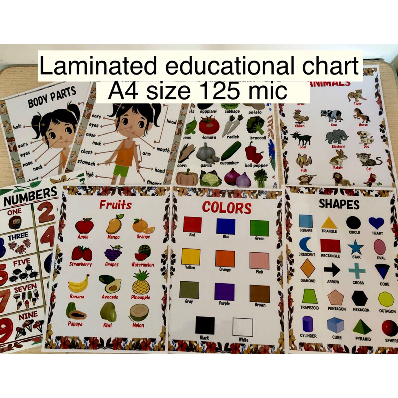 laminated educational chart 4A size 125 mic | Shopee Philippines