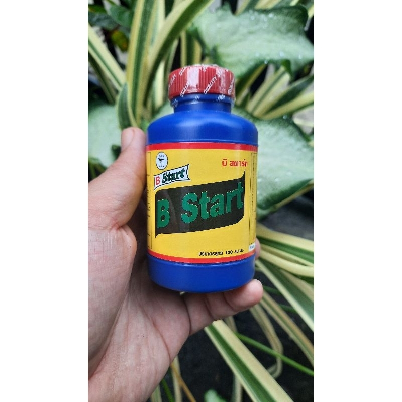 Vitamin B Start 100ml | Shopee Philippines