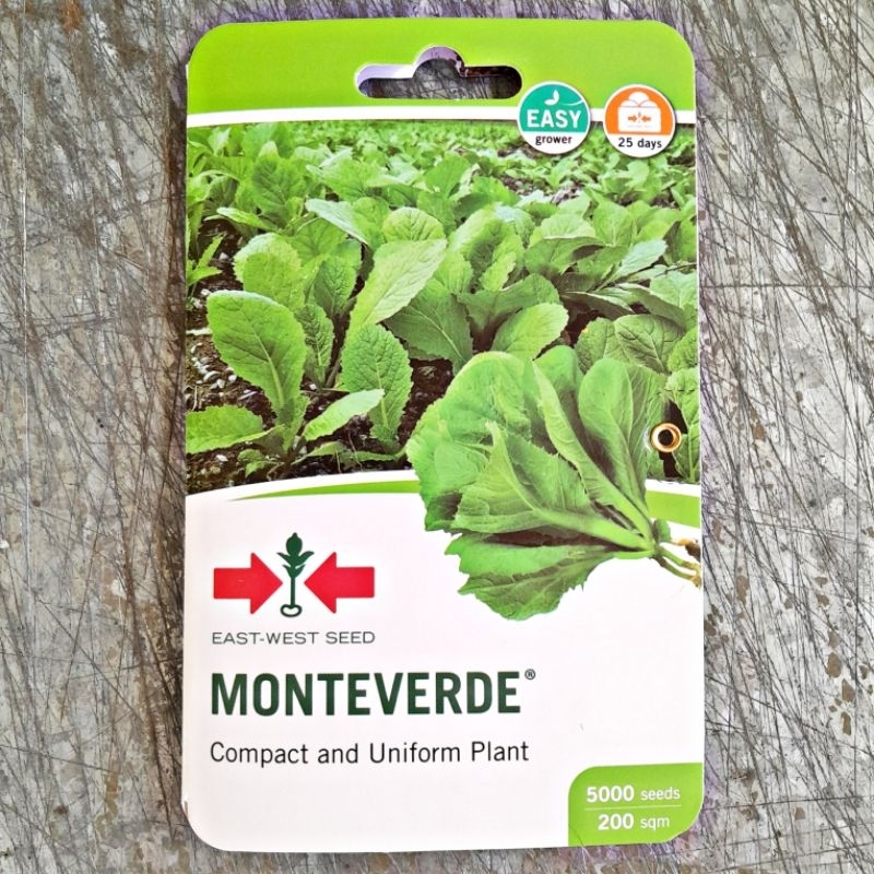 MONTEVERDE OPV MUSTARD SEEDS (5000 SEEDS) MUSTASA / MUSTAZA by EAST ...