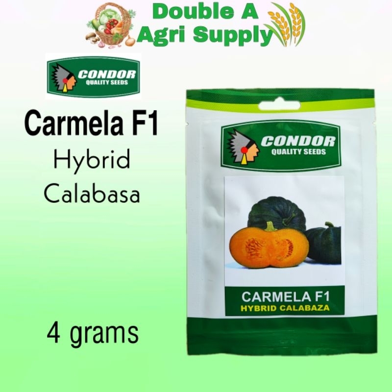 Condor Seeds Pack Collection / Vegetable Seeds / Pechay, Mustasa, Sili ...