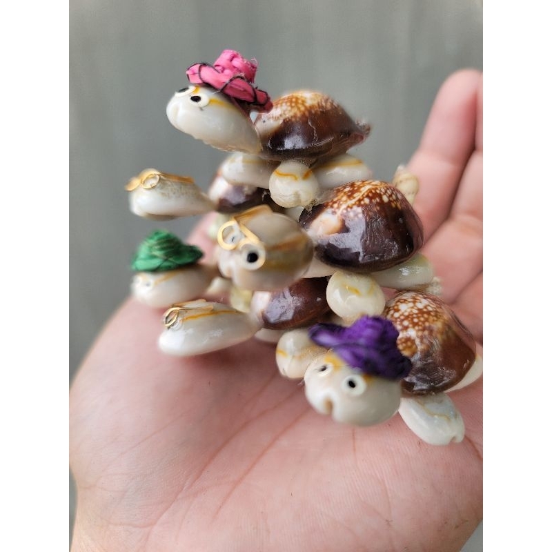 Native Giveaways Pyramid Turtle Shells | Shopee Philippines