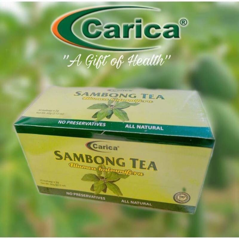 Carica SAMBONG TEA (30 Tea Bags) | Shopee Philippines Carica SAMBONG TEA (30 Tea Bags) | Shopee Philippines