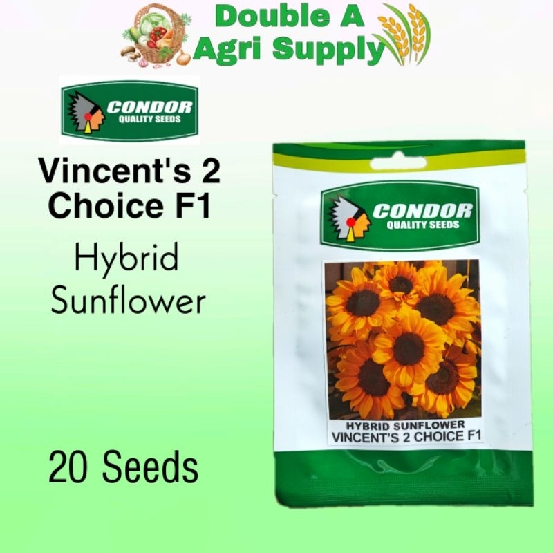 Condor Seeds Pack Collection / Vegetable Seeds / Pechay, Mustasa, Sili ...