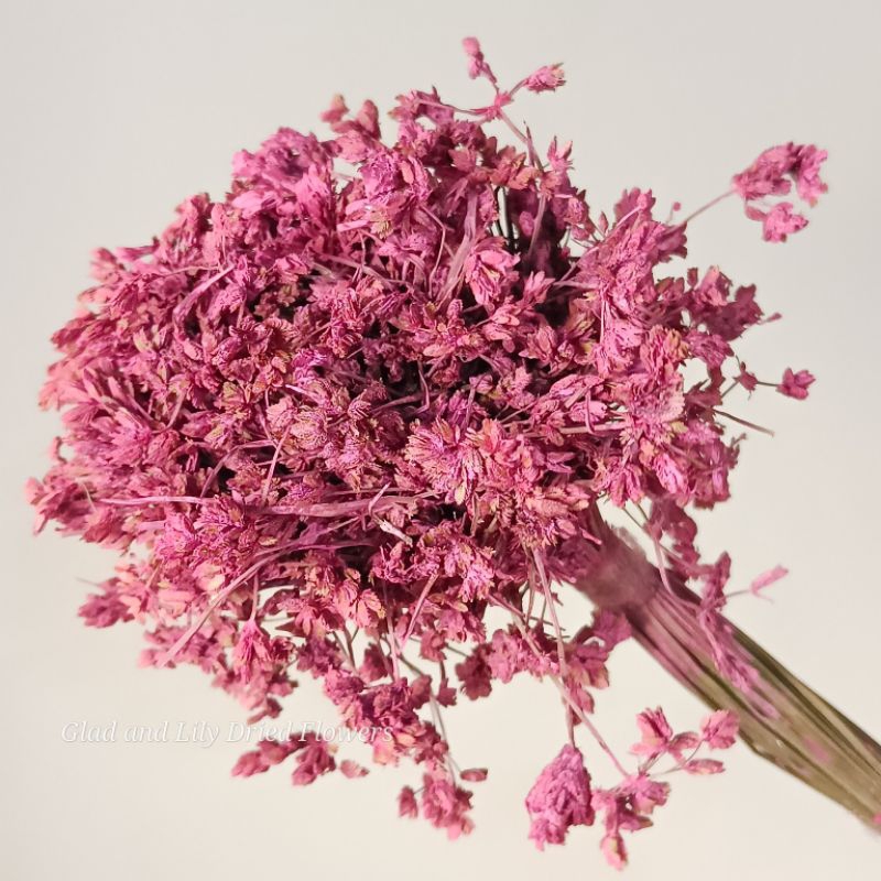 Dried Local Mini Flowerettes | Shopee Philippines