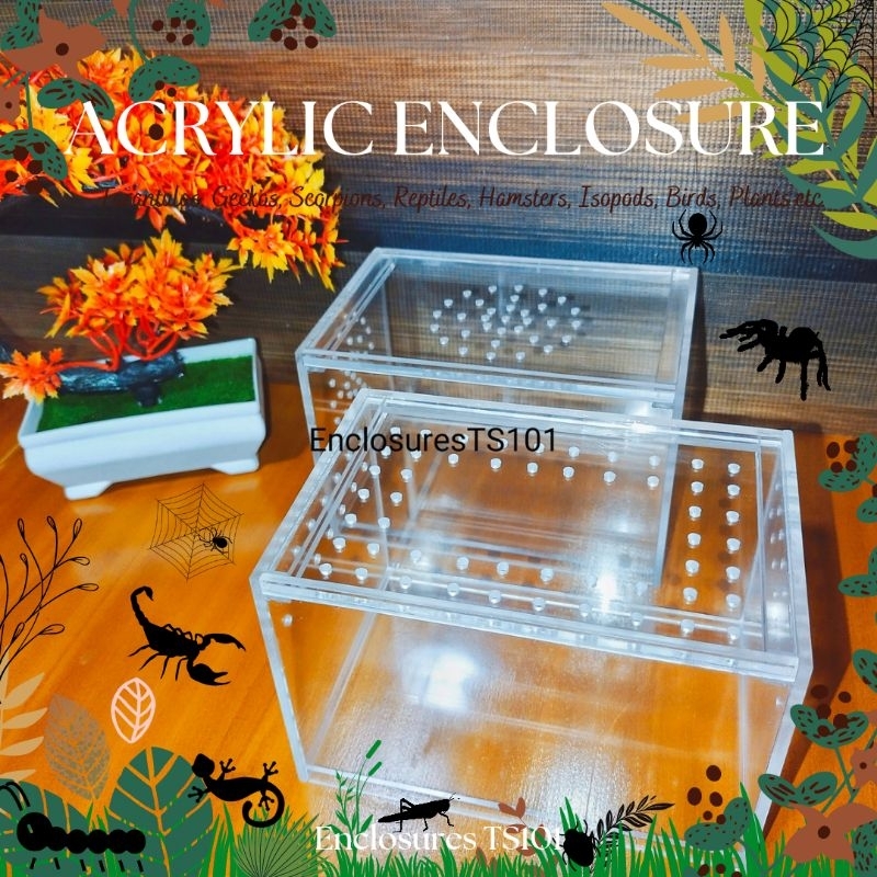 Acrylic Enclosure for Tarantula, Scorpion, Reptiles, Isopod, Beetles ...