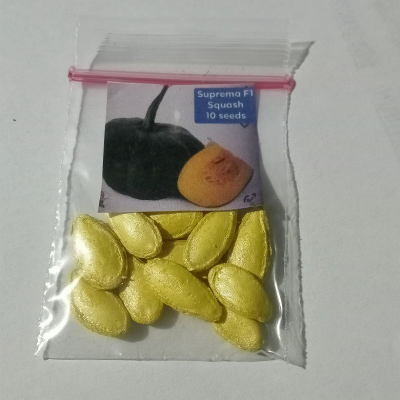 Kalabasa Suprema 10 seeds | Shopee Philippines
