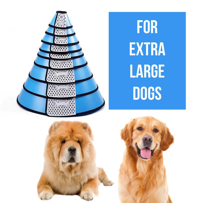 JUMBO EXTRA LARGE ECOLLAR WOUND COLLAR RECOVERY COLLAR FOR EXTRA LARGE ...