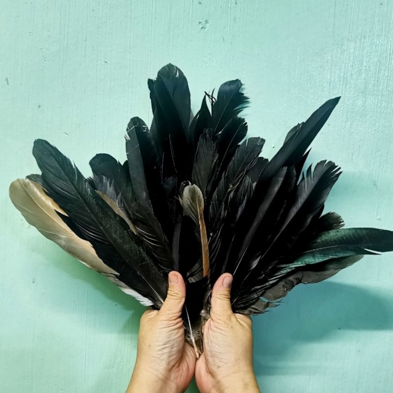 30 grams CHICKEN Balahibo Feather PAKPAK for DIY crafting decorations ...