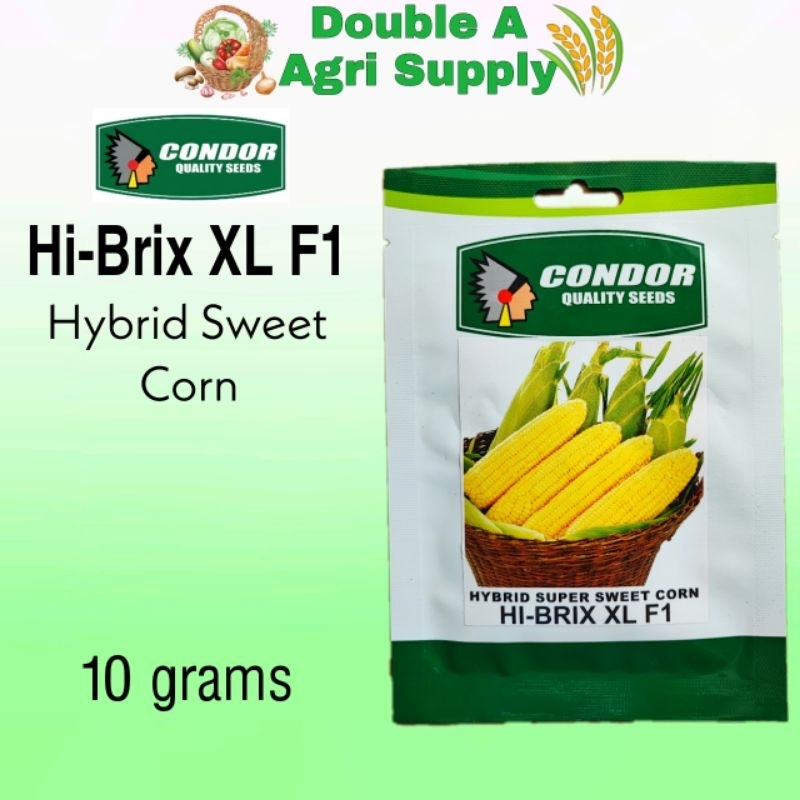 Condor Seeds Pack Collection / Vegetable Seeds / Pechay, Mustasa, Sili ...