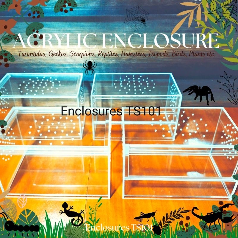Acrylic Enclosures Breeding Box cage for Tarantula, Scorpion, Isopods ...