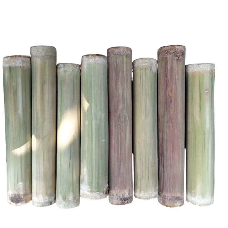 ⭐Bamboo Alkansya w/o varnish & w/ Varnish | Shopee Philippines