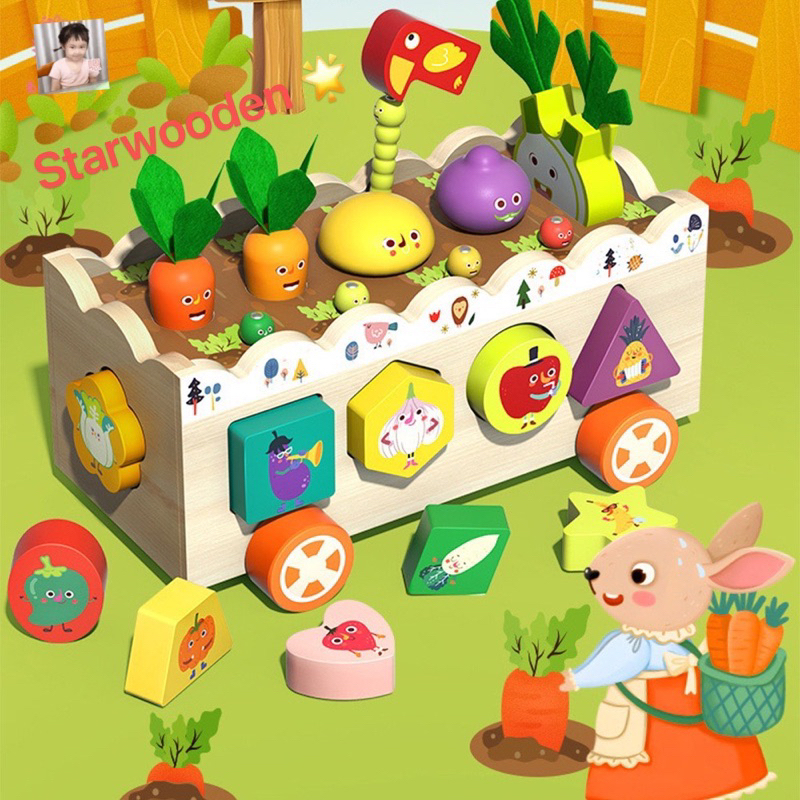 NEW Wooden Toys Multi-functional Fruits Vegetables Shape Sorting ...