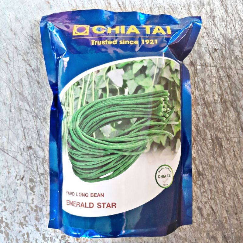 EMERALD STAR OPV YARD LONG BEAN SITAO / SITAW SEEDS (1 KILO) by CHIA ...