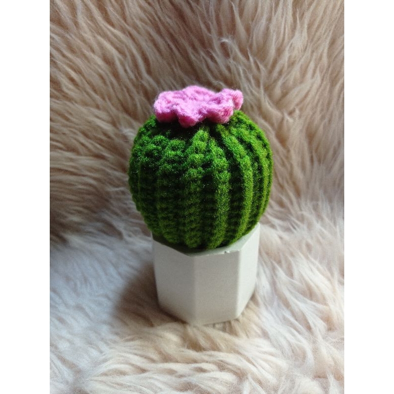 Mitch Cactus crochet (1piece)sold per piece.. | Shopee Philippines