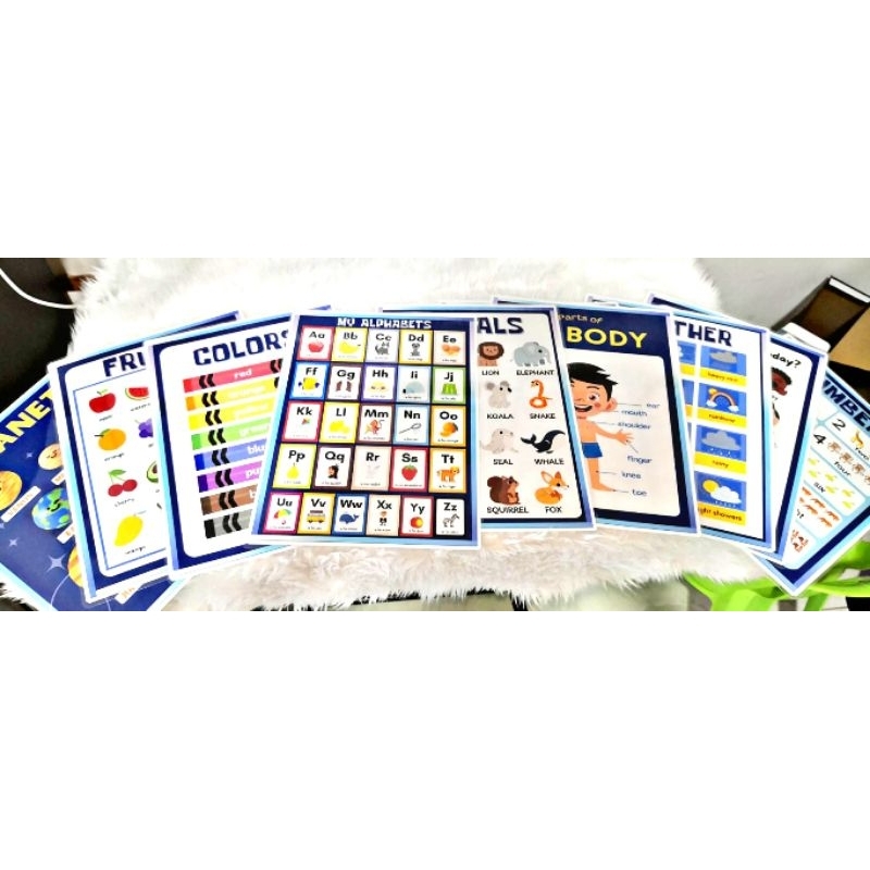 Laminated Chart a4 (10pcs) | Shopee Philippines