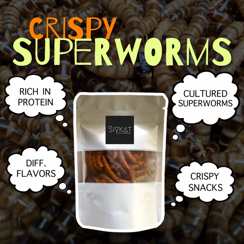CHICHAWORMS | SUPERWORMS | CRISPY SUPERWORMS | Shopee Philippines