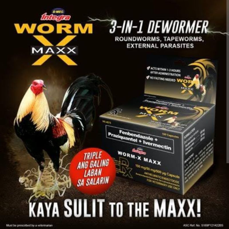 Integra Worm x Maxx (10pcs.) | Shopee Philippines
