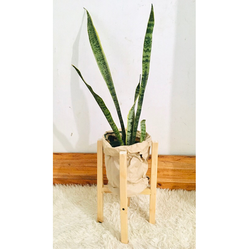 Pot Stand (collapsible) | Shopee Philippines