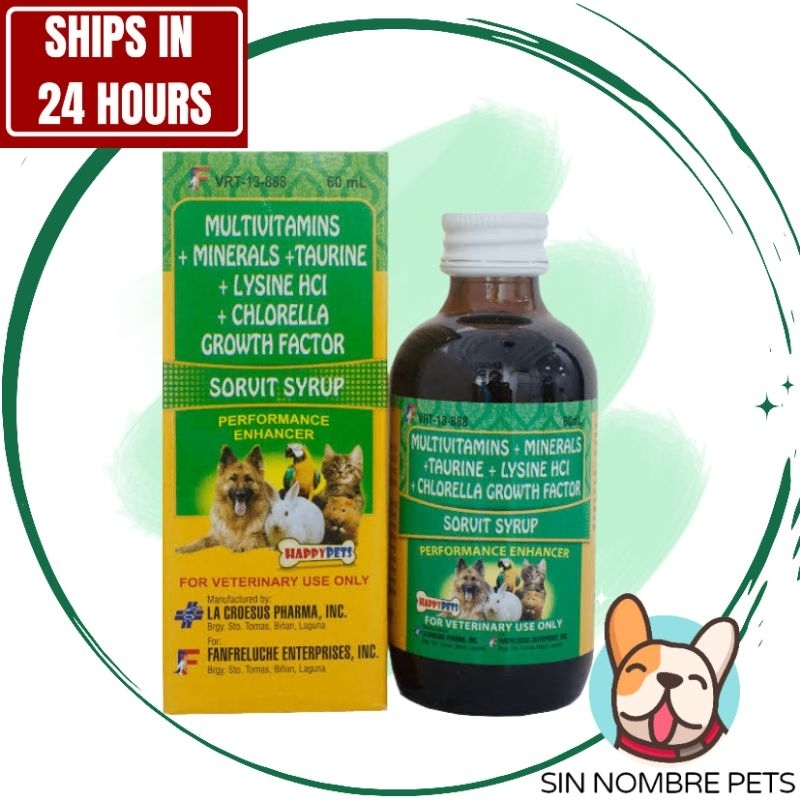 Sorvit Syrup Perfomance Enhancer 60ml | Shopee Philippines