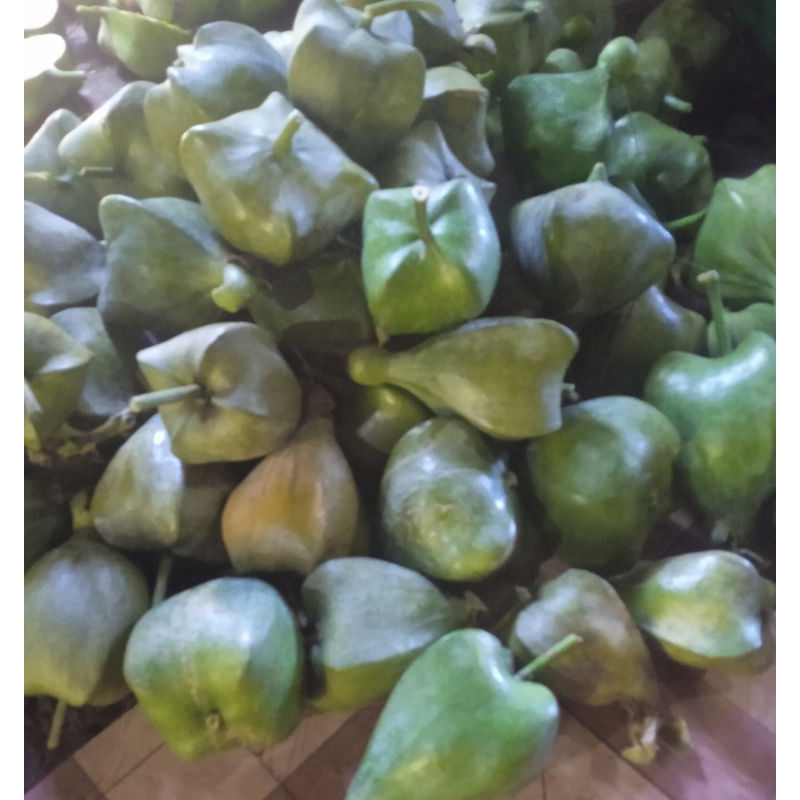 *bitoon mabisang gamot sa bukol/goiter/tumor (1kg) | Shopee Philippines