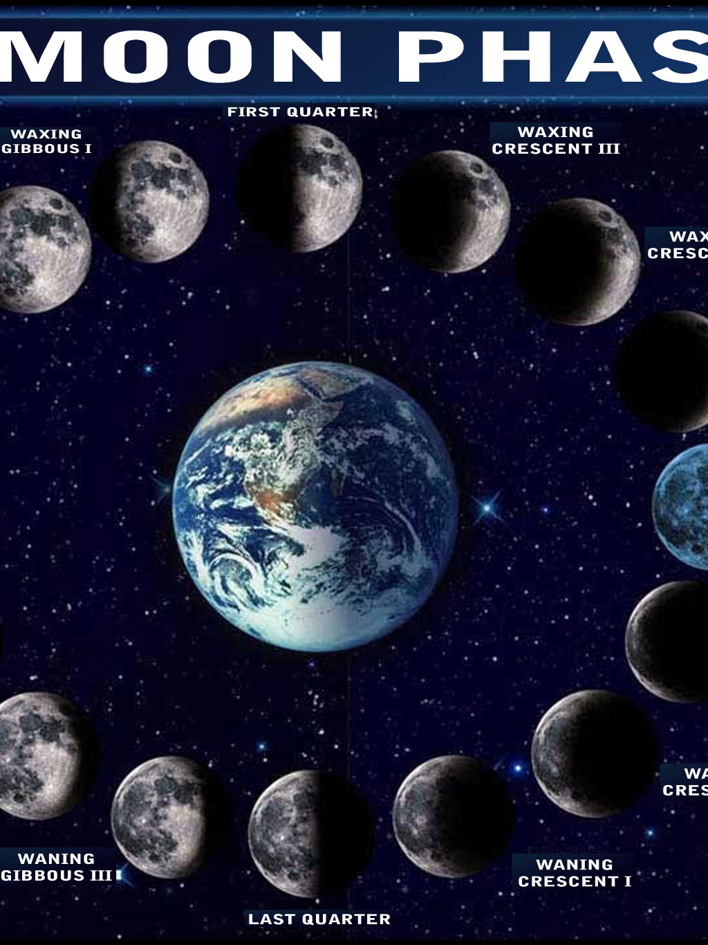 Laminated Moon Phases - learning materials - 8r size | Shopee Philippines Laminated Moon Phases - learning materials - 8r size | Shopee Philippines