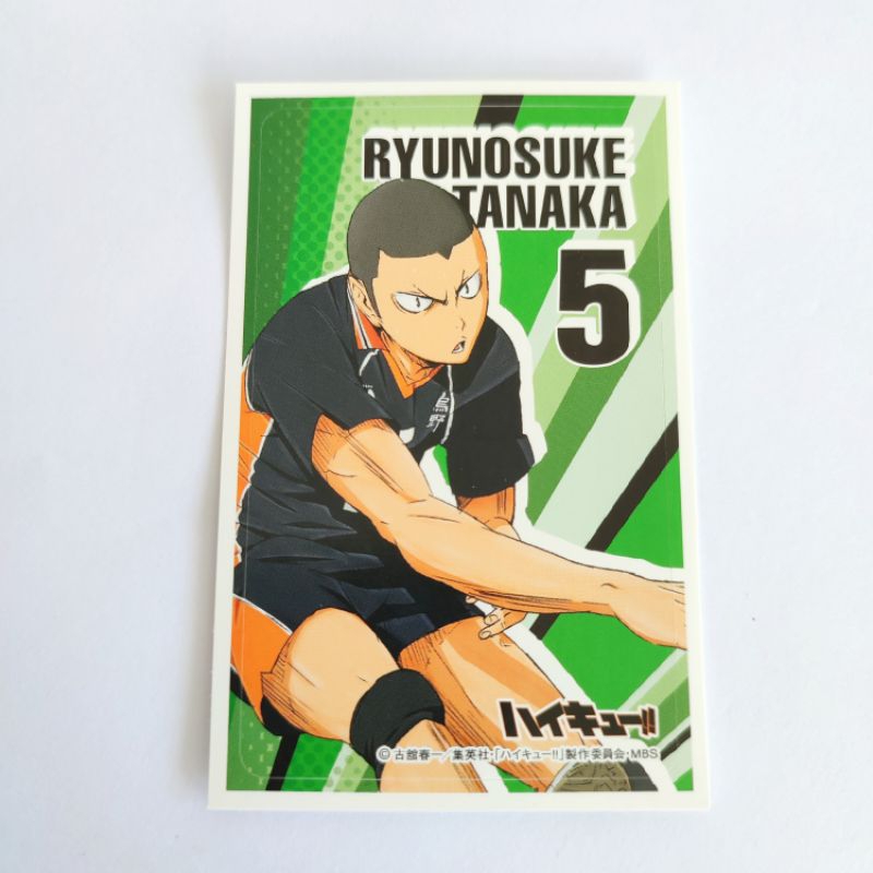 Haikyuu!! Hinata, Kageyama, Tsukishima, Yamaguchi, Daichi, Sugawara ...