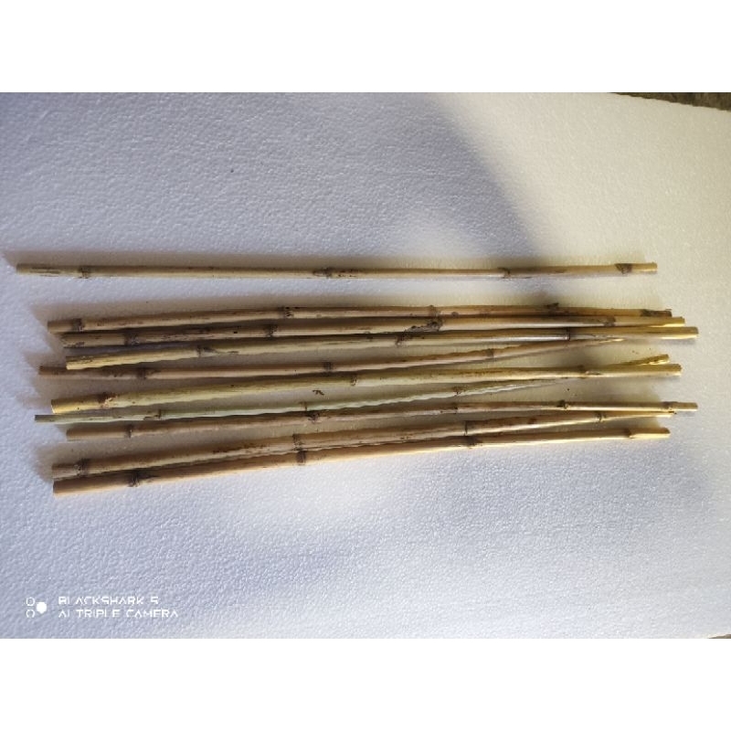 5 pcs 16 to 17 inches rbro real bamboo stick (plant support) | Shopee ...