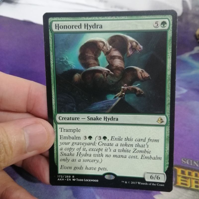 1 Honored hydra amonkhet MTG card magic commander EDH | Shopee Philippines