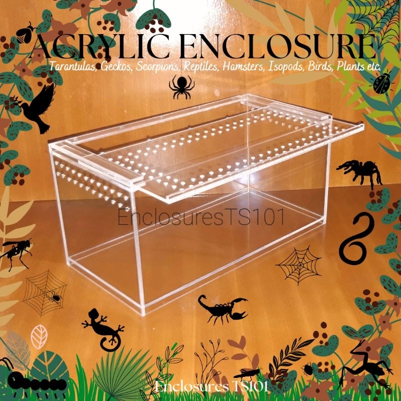 Acrylic Enclosure Breeding Box Cage for Tarantula, Scorpions, Reptiles ...