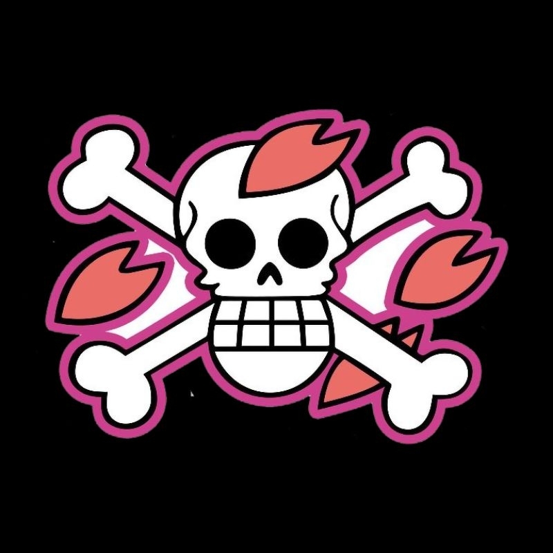 One Piece Skull Logo/Anime/Vinyl Sticker/Waterproof/Laminated/Aquaflask ...