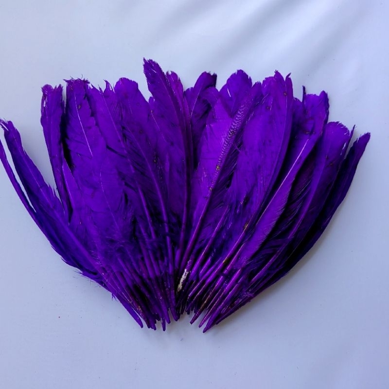 30 grams CHICKEN Balahibo Feather PAKPAK for DIY crafting decorations ...