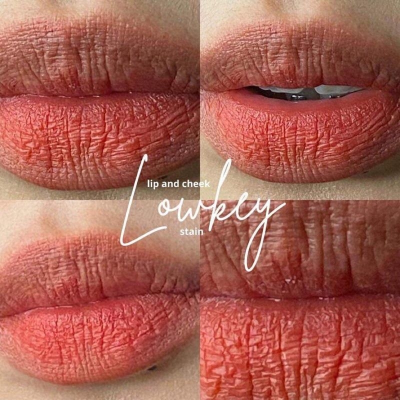 MONDAZE Lip & Cheek Stain (Permanent Packaging) | BeautyDeck Ph ...