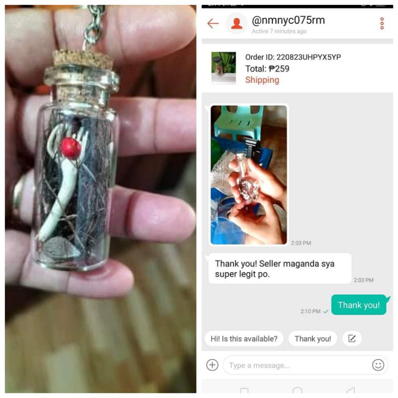 Tagupaypay+wishing root+saga saga nakalagay sa bote | Shopee Philippines Tagupaypay+wishing root+saga saga nakalagay sa bote | Shopee Philippines