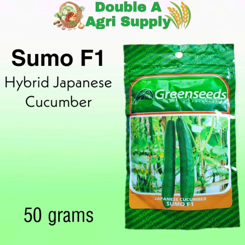 Sumo F1 Hybrid Japanese Cucumber - Greenseeds | Shopee Philippines
